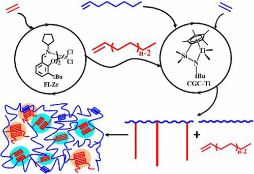 Preparation of Comb-Shaped Polyolefin Elastomers Having Ethylene/1-Octene Copolymer Backbone and ...